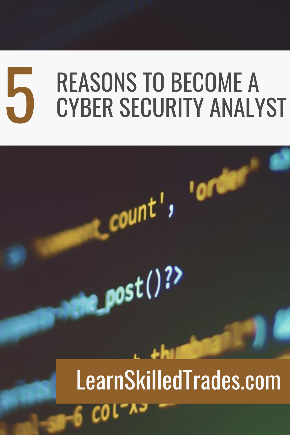 5 Reasons to become a Cyber Security Analyst